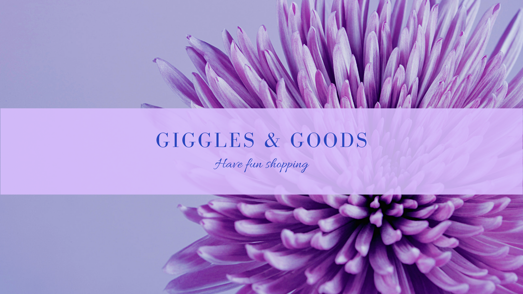 Giggles and Goods Store